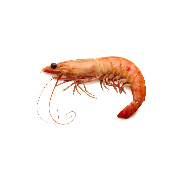 Cooked Shell-On Prawns 90/120 (5kg)