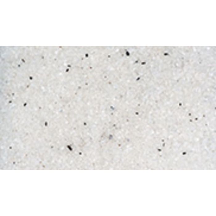 Mayflower Salt & Pepper Seasoning Mix (1kg)